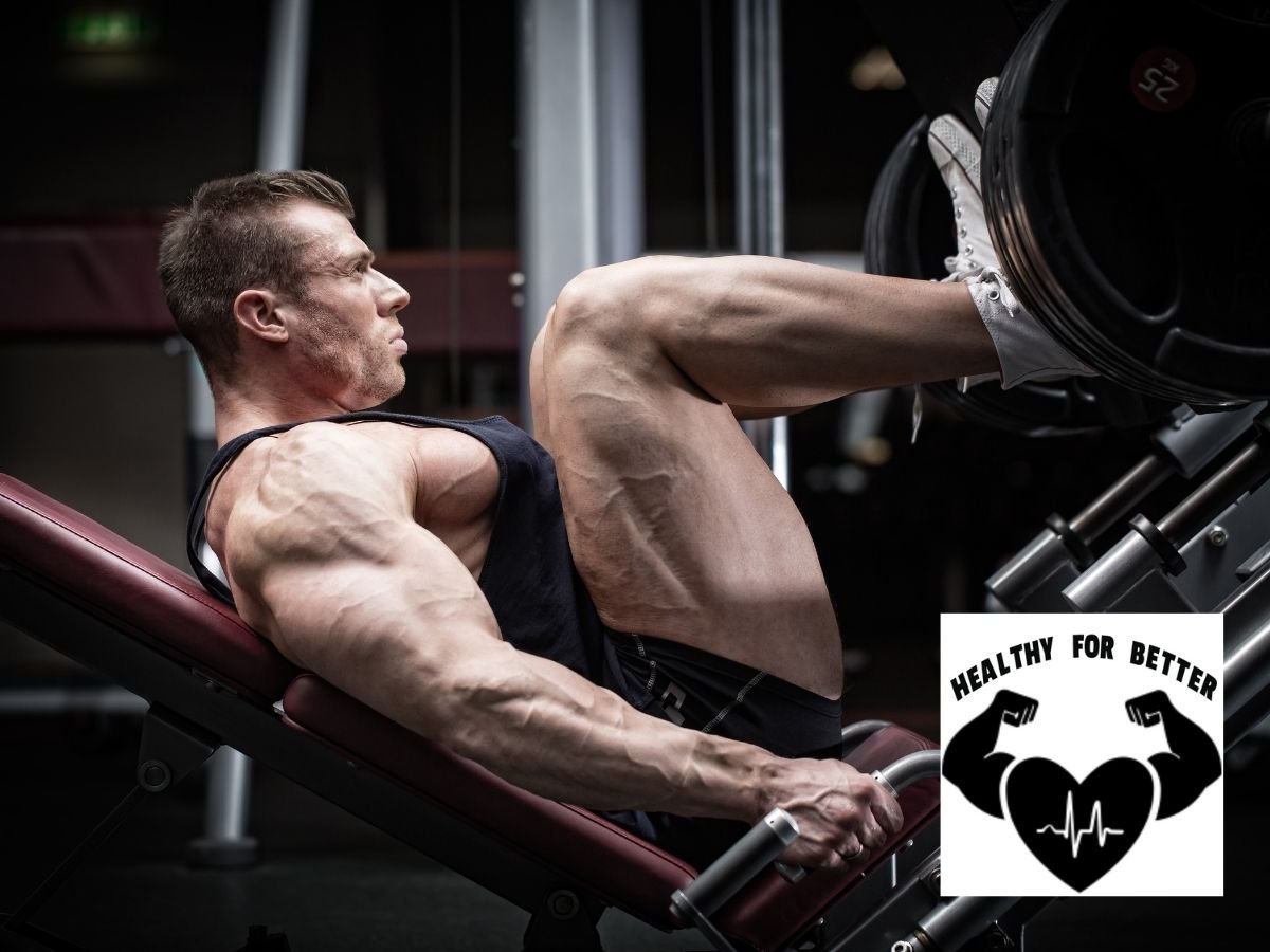 How Much Should I Leg Press? (Leg Press Lifting Standards)